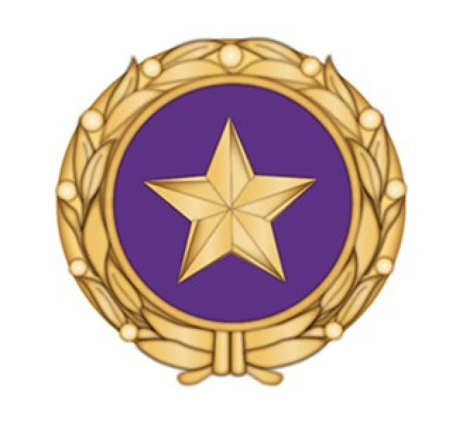 What Does It Mean To Be A Gold Star? - Firewatch Magazine